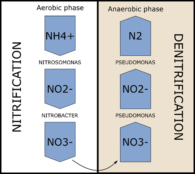 What is Wastewater Treatment